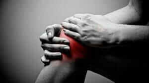 5 Best Exercises for Knee Health - Get Fit Now